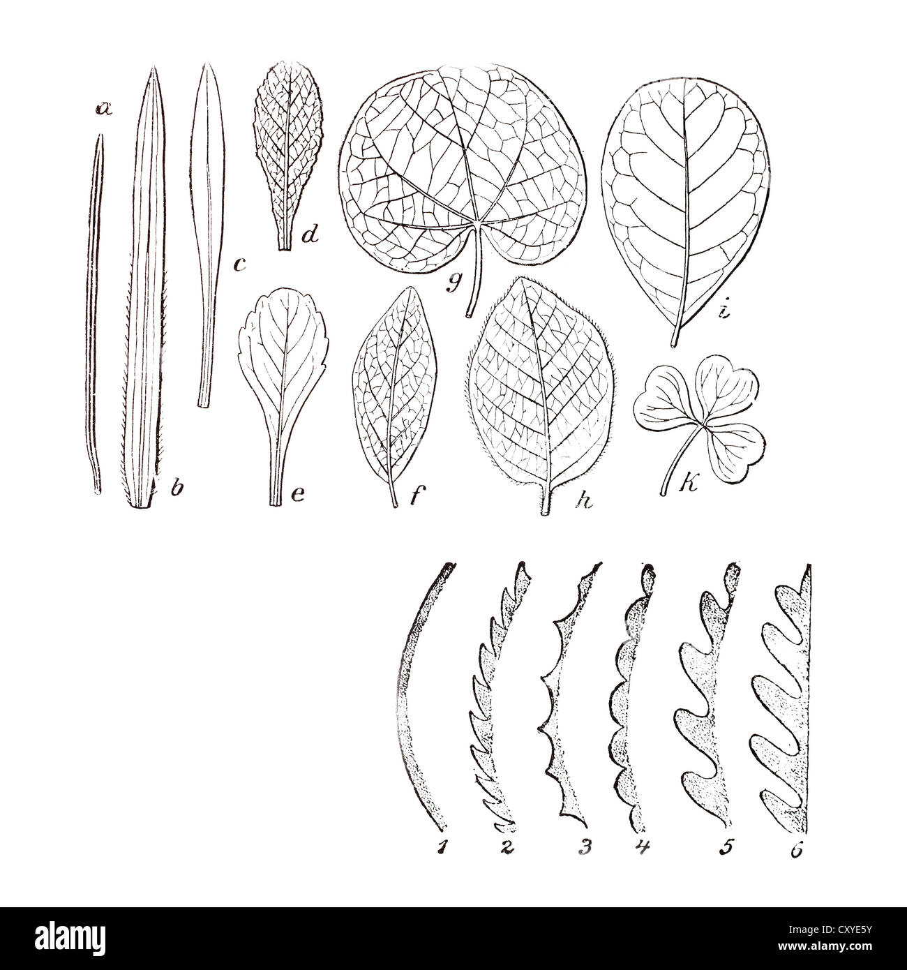 Figures with different shapes Cut Out Stock Images & Pictures - Alamy