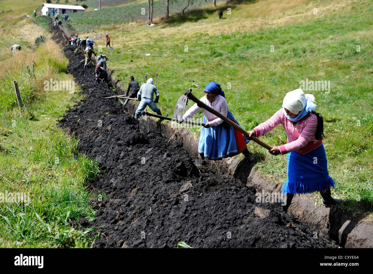 Hoes High Resolution Stock Photography and Images - Alamy