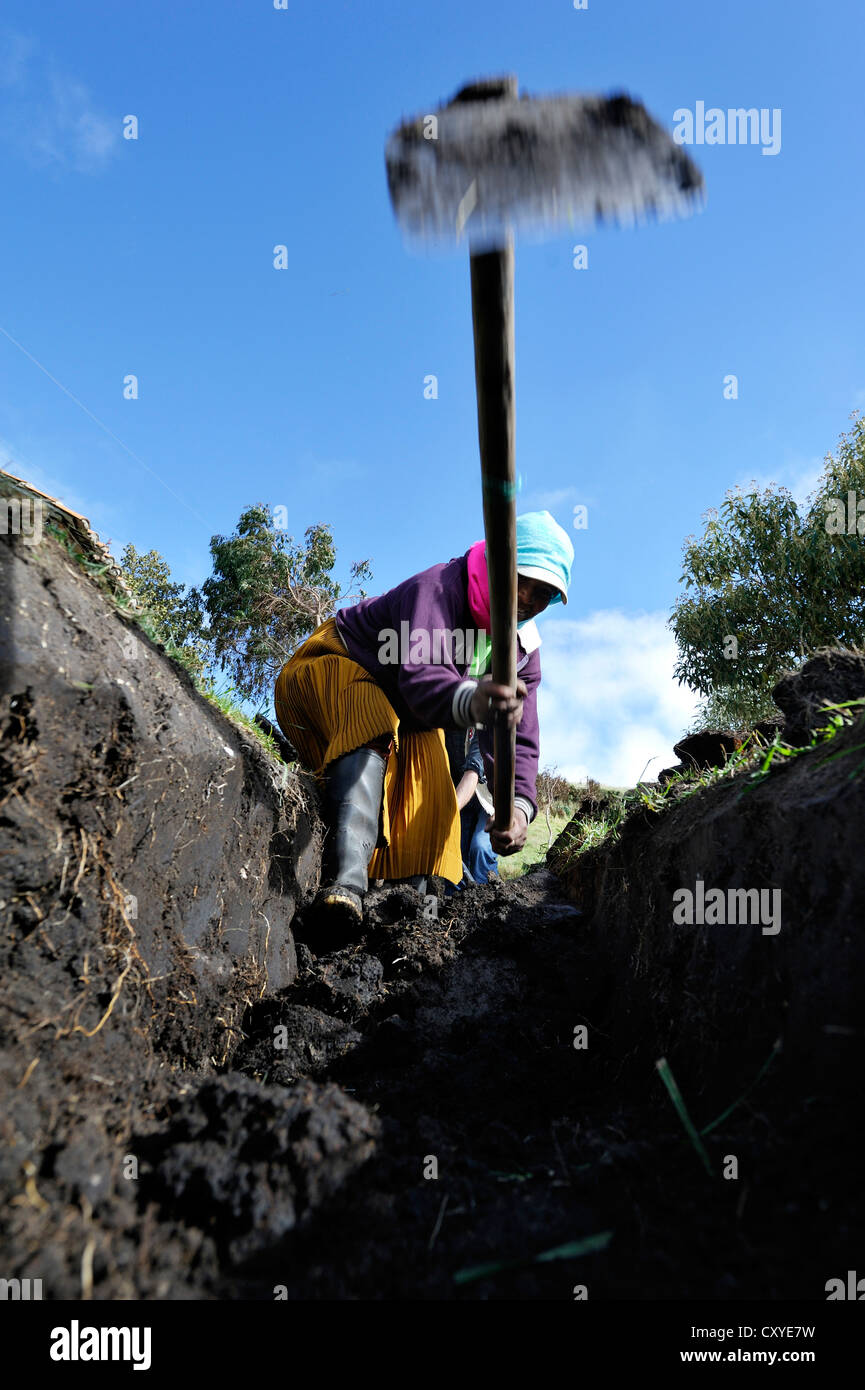 Woman With A Hoe High Resolution Stock Photography and Images - Alamy