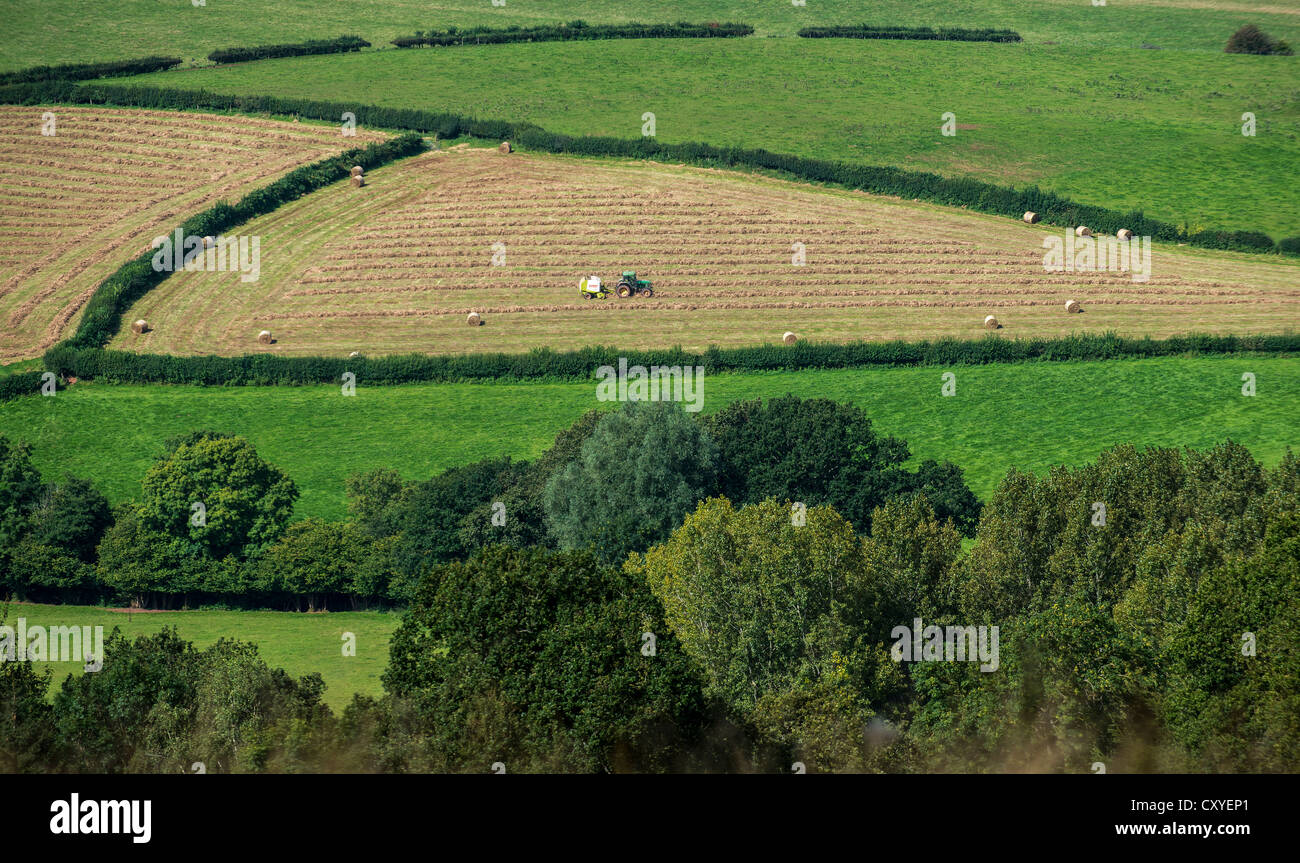 Hay making hi-res stock photography and images - Alamy