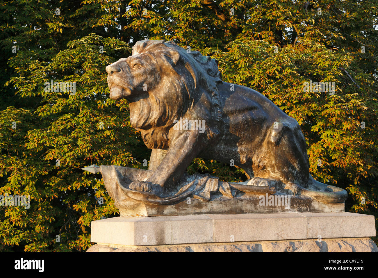Hackher lion hi-res stock photography and images - Alamy