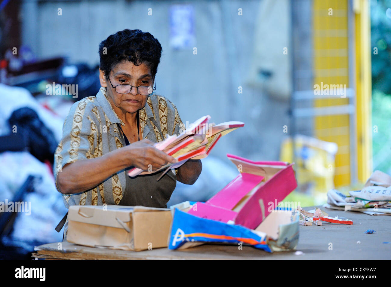 Woman sorting recyclables, the medium-sized company of a women's ...