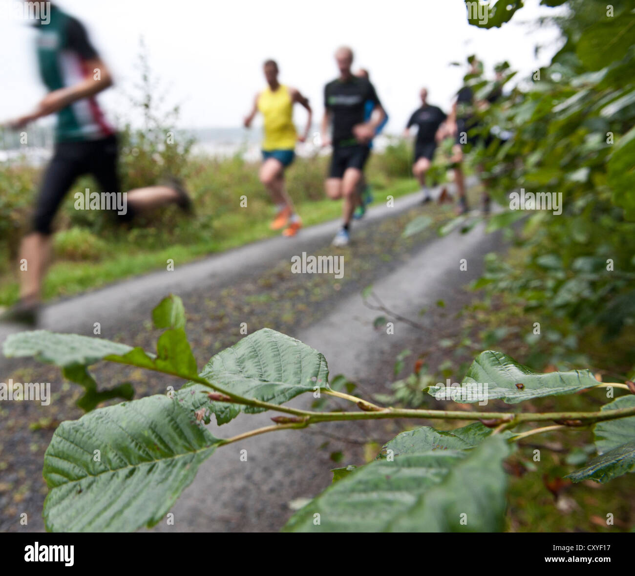 Running into each other hi-res stock photography and images - Alamy