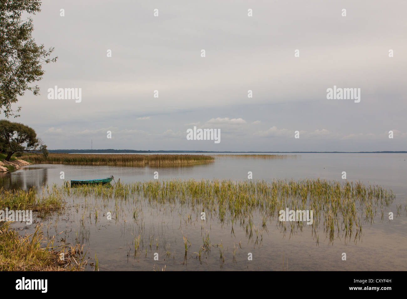Lake belarus belorus hi-res stock photography and images - Alamy