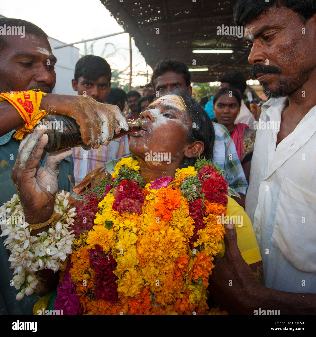 Forehead ashes hi-res stock photography and images - Alamy