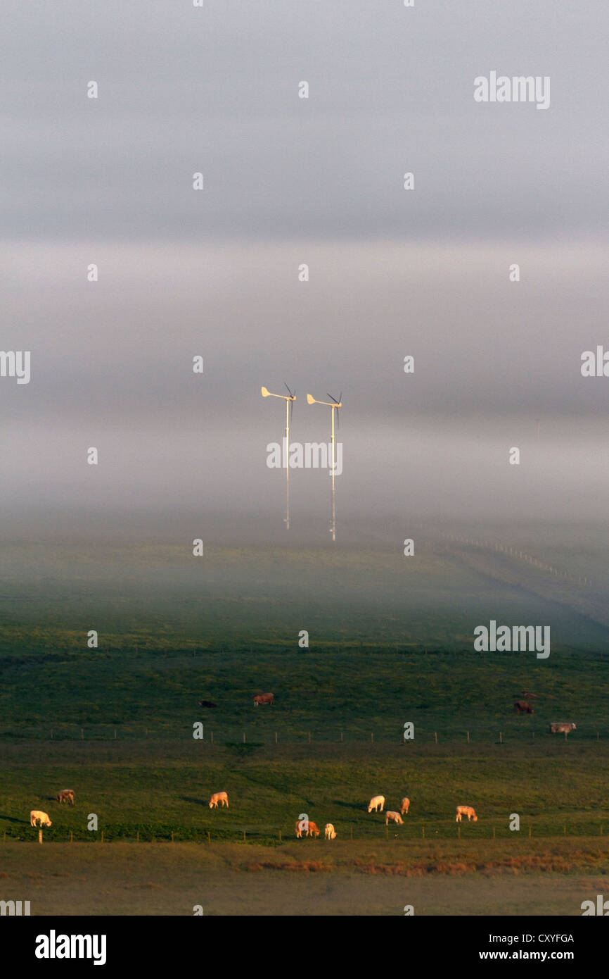 Wind turbines in mist Stock Photo - Alamy