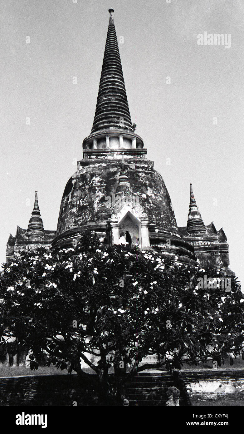 Ayudhya kingdom hi-res stock photography and images - Alamy