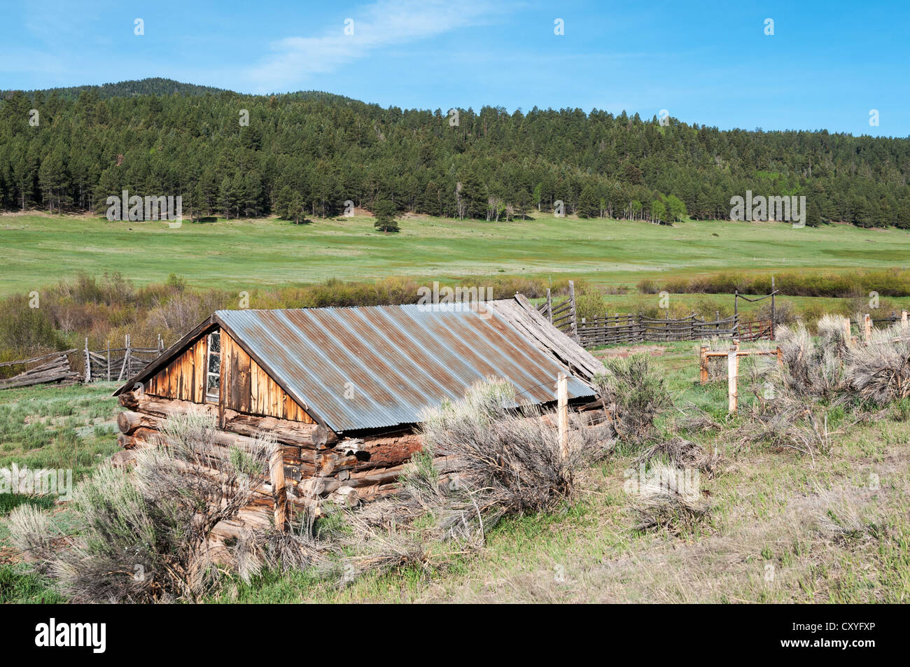 New Mexico, Log Cabin by Hwy 64 between Taos and Chama Stock Photo - Alamy