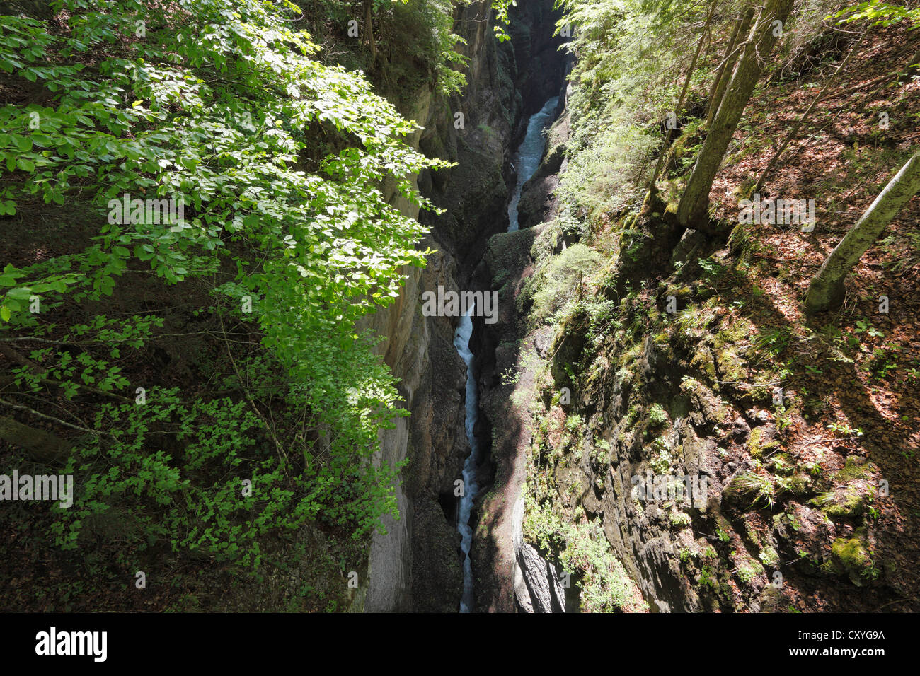 Partnachklamm gorge, Partnach river, Garmisch-Partenkirchen ...
