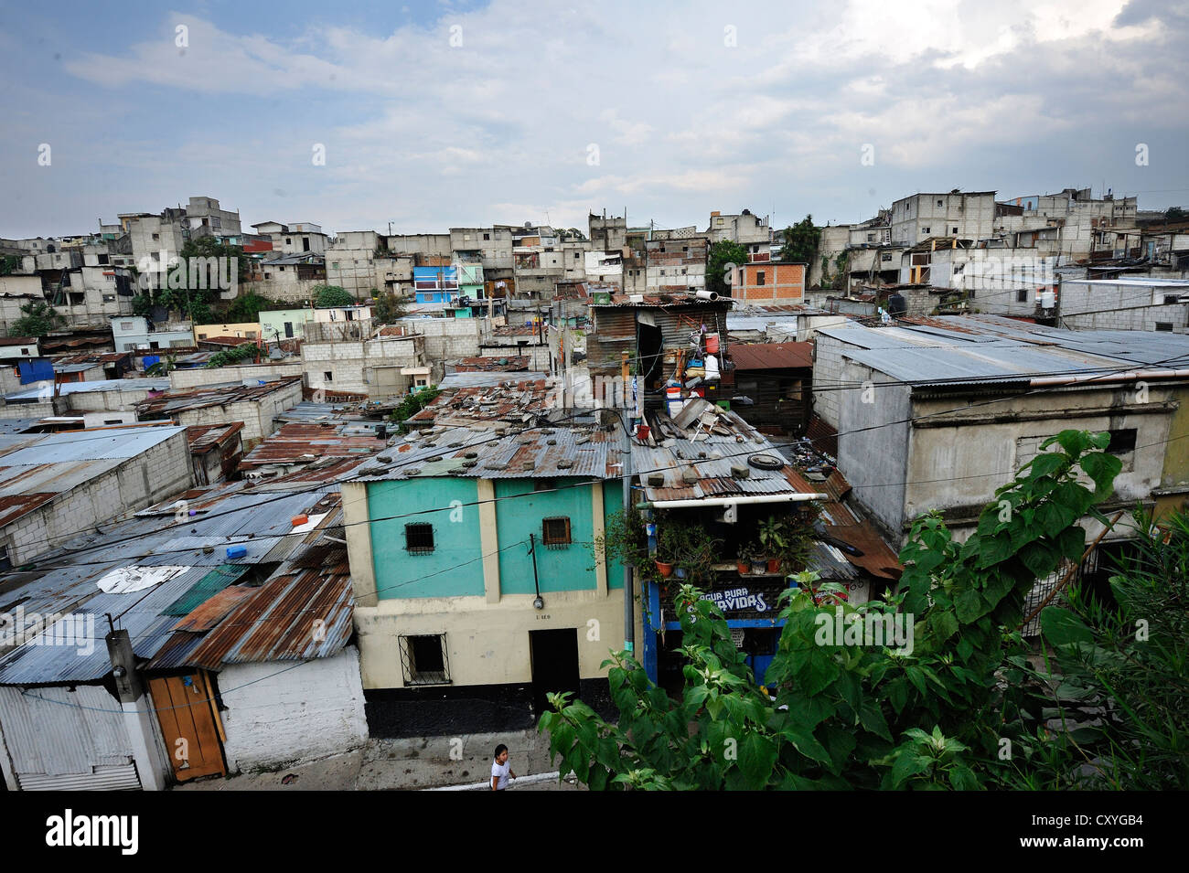 Corrugated iron roofs, El Esfuerzo slum, the disrict is controlled by ...