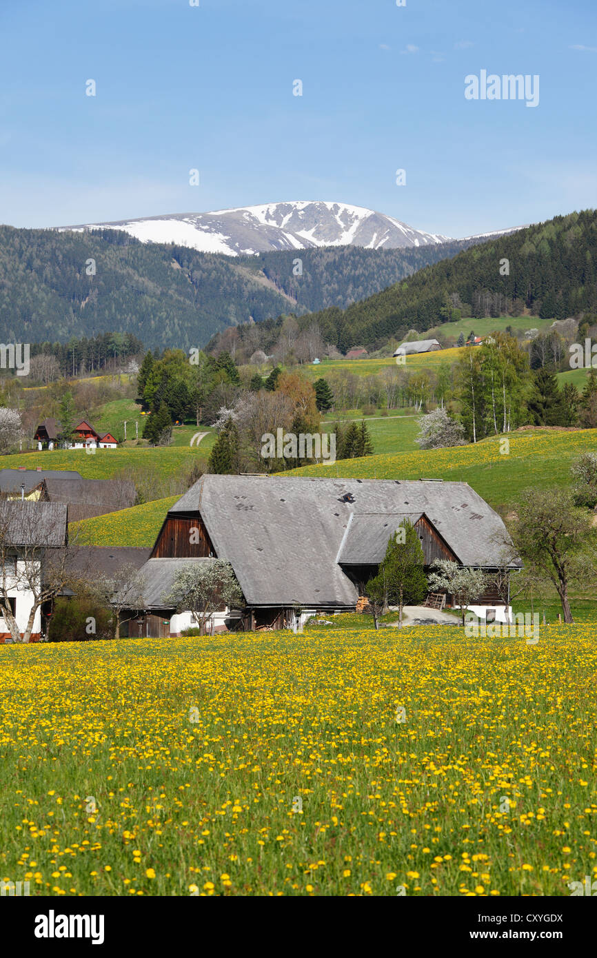 Puchschachen near Knittelfeld, Upper Styria, Styria, Austria, Europe ...