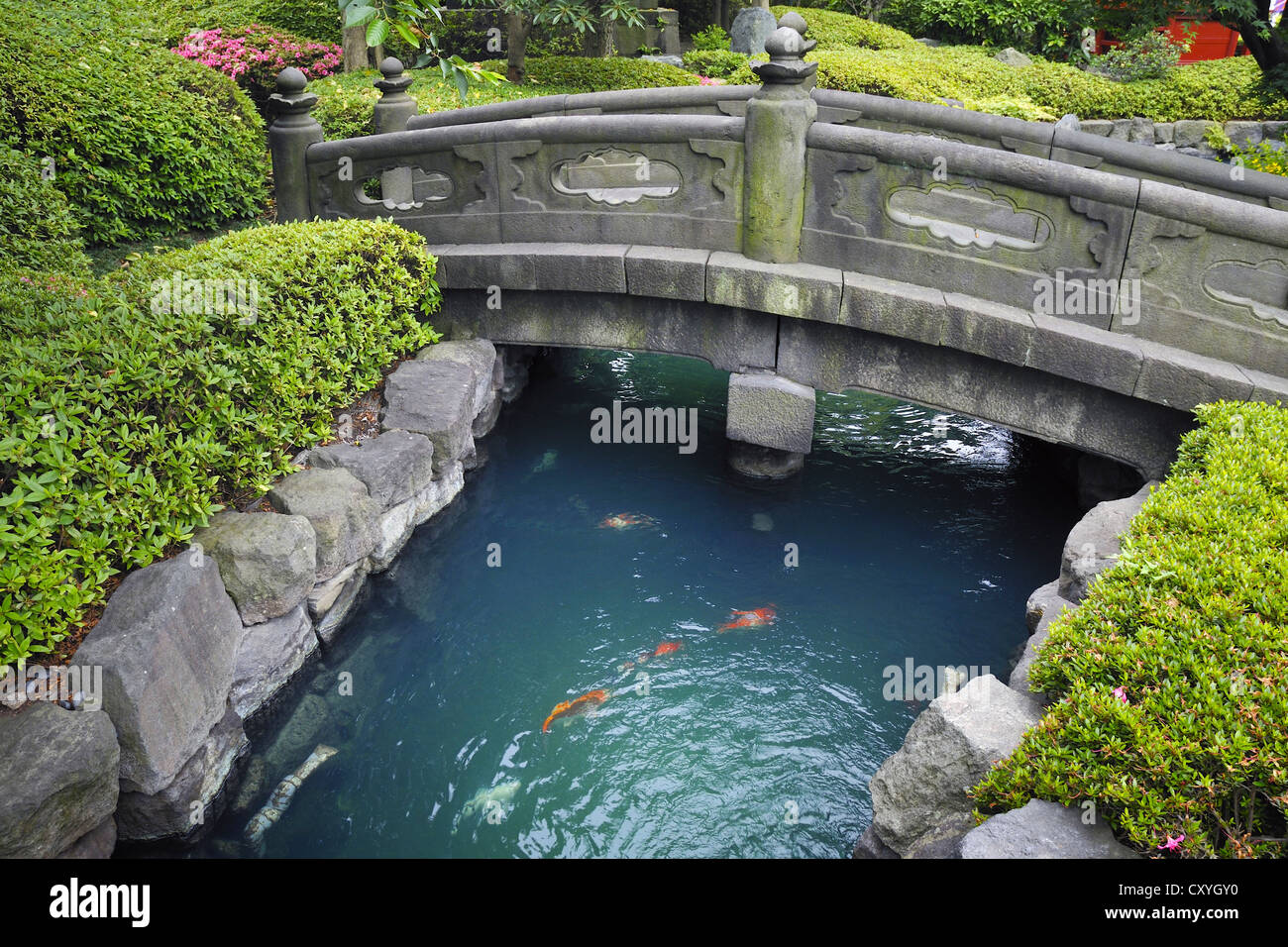 scenic stone bridge over blue water with red fishes in Japanese stone ...