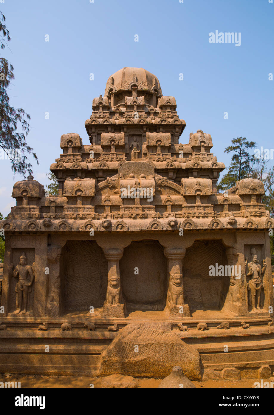 The Rock Cut Dharmaraja Ratha Temple, Mahabalipuram, India Stock Photo ...