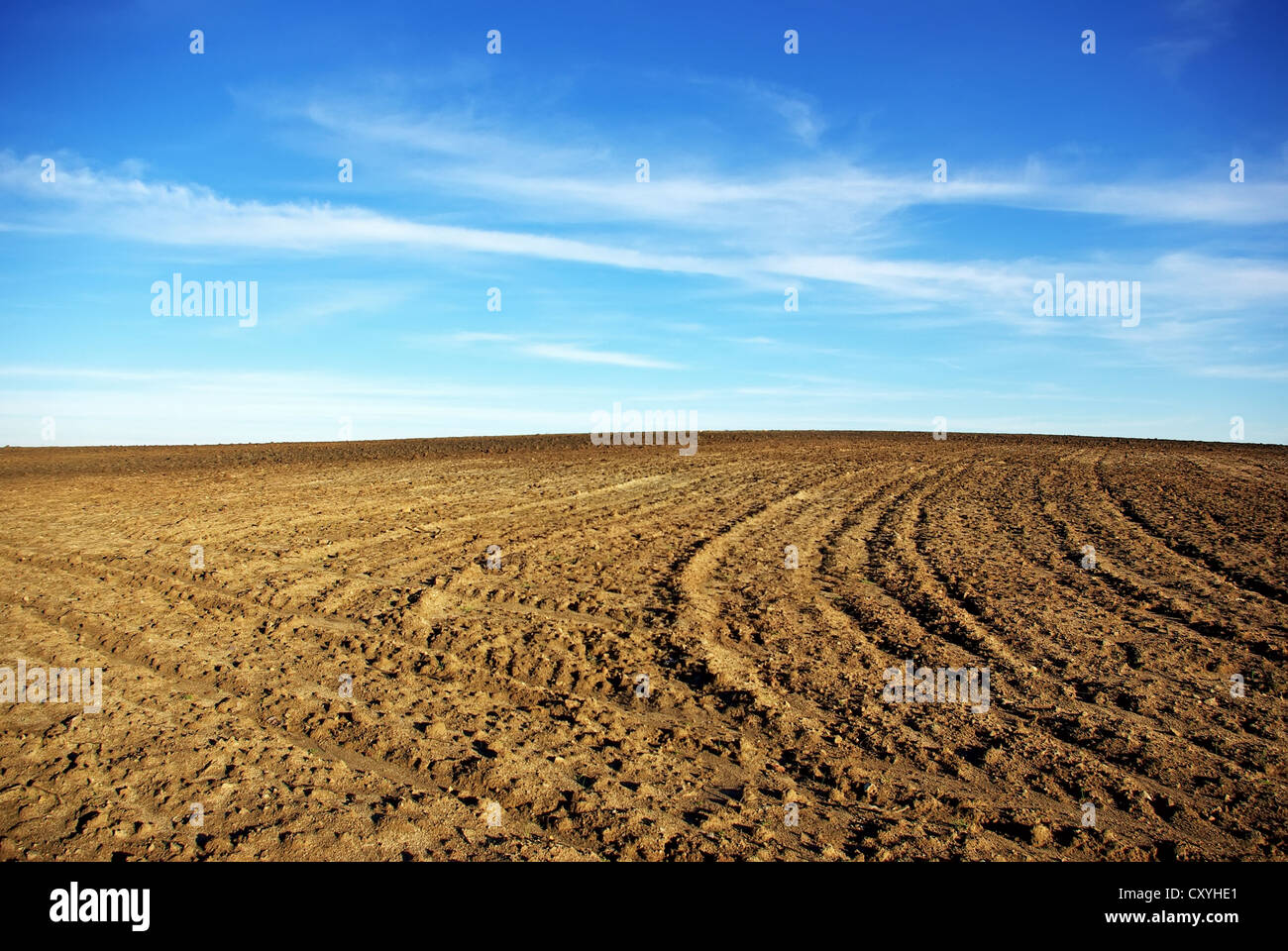 autumn background field Stock Photo - Alamy