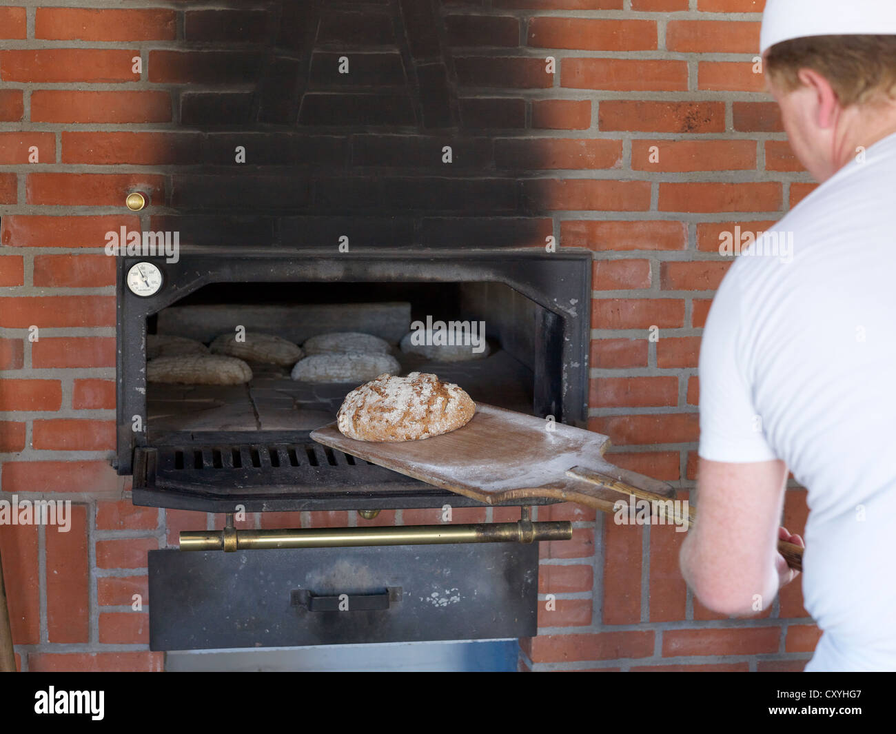 Loaves of bread are pushed into the oven of a bread bakery, Bardowick ...