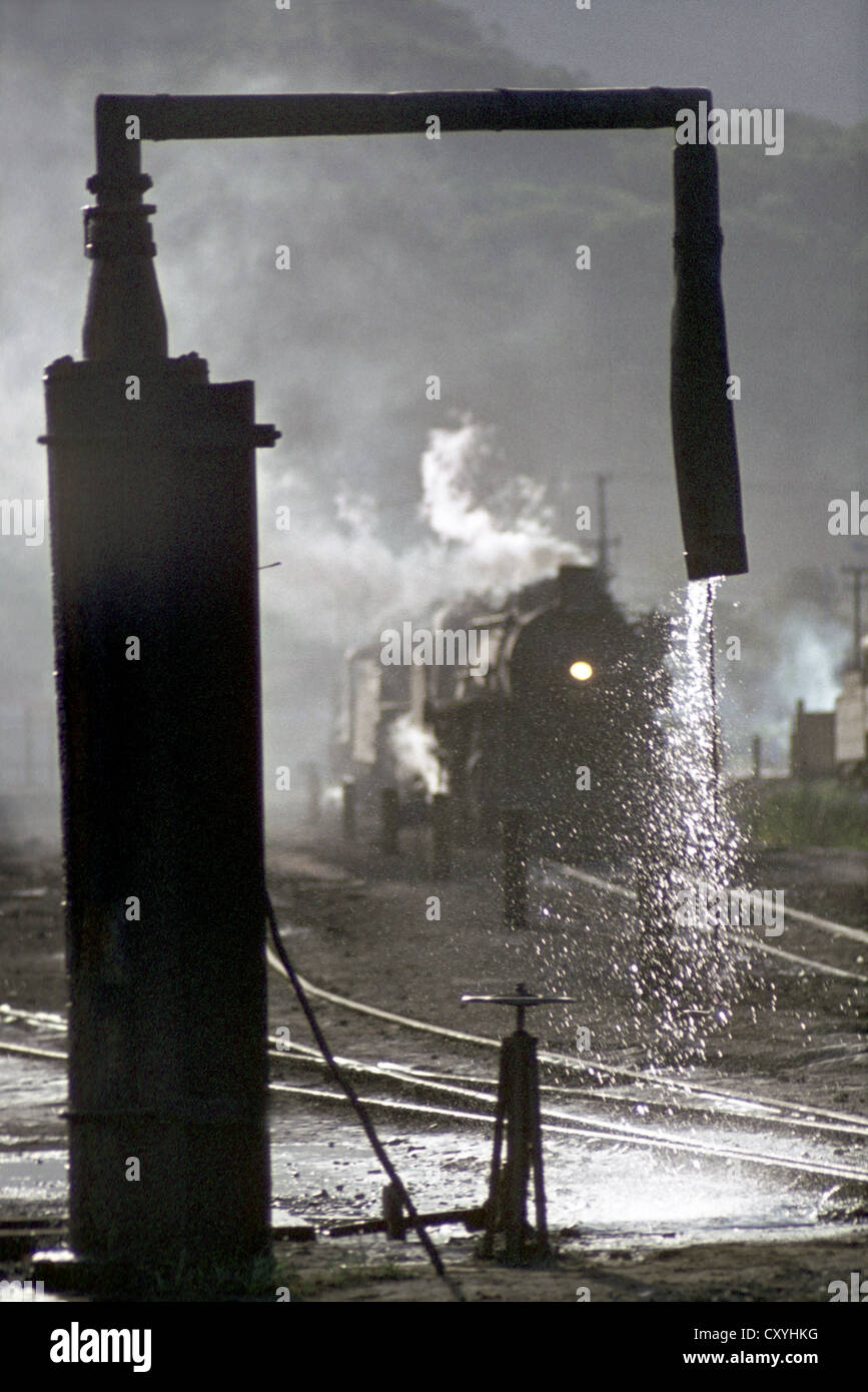 Mikado steam locomotive hi-res stock photography and images - Alamy