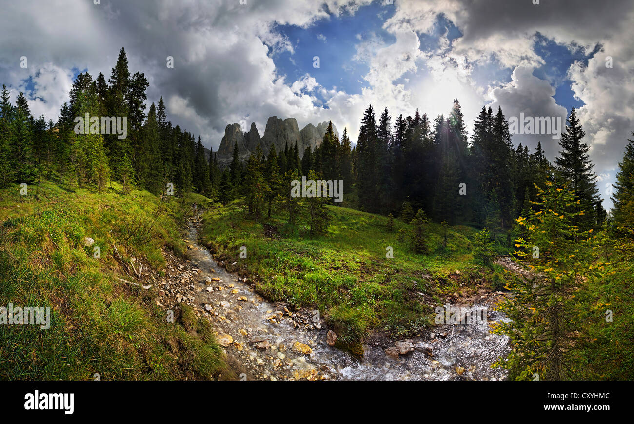 Forest mountain landscapes hi-res stock photography and images - Alamy