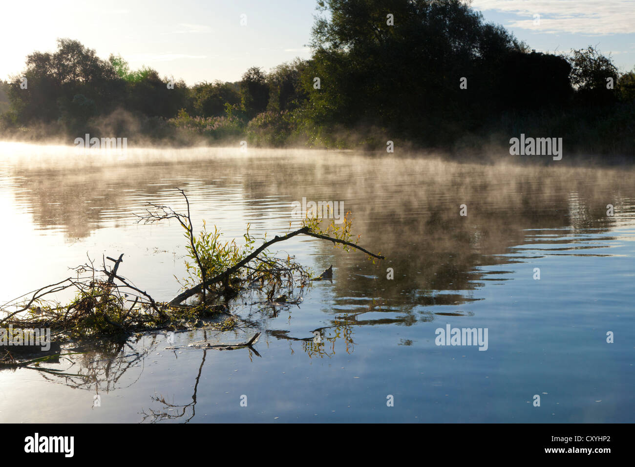 Misty scenery hi-res stock photography and images - Alamy