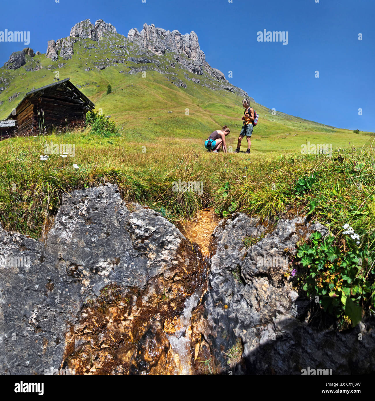 Small spring at Mt Peitlerkofel, Sasso delle Putia, with hikers and ...