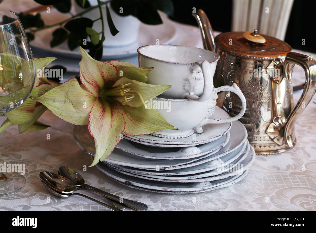 Fine bone china hi-res stock photography and images - Alamy
