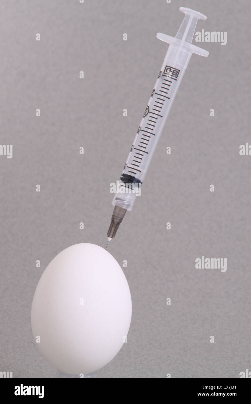 Egg being injected by hypodermic syringe Stock Photo - Alamy