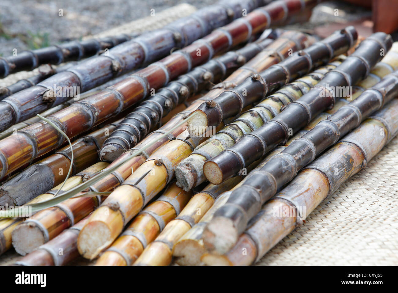 Sugar cane on display, Kailua-Kona, Big Island, Hawaii, USA Stock Photo ...