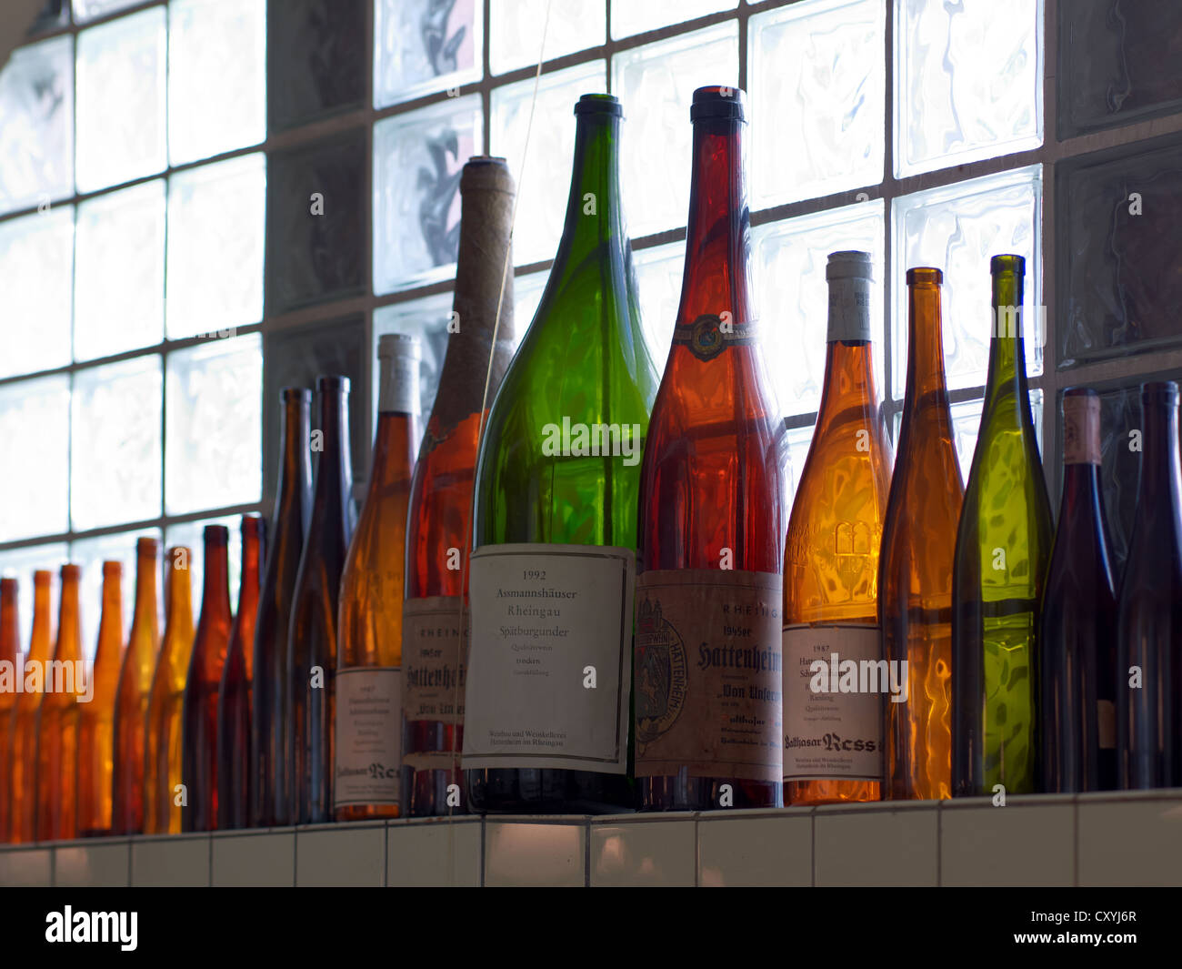 Empty, dusty wine bottles in a wine cellar at the window of a wine ...