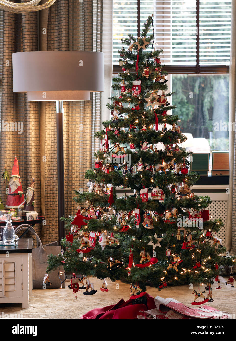 Inside a whole in a tree hi-res stock photography and images - Alamy