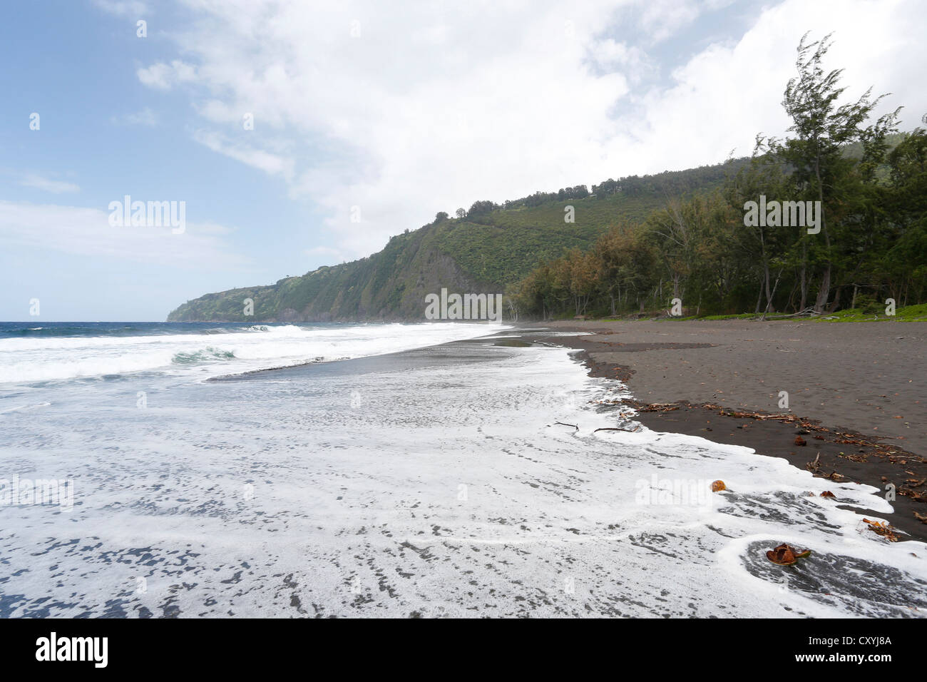 Black sandy beach, Waipio Valley, Big Island, Hawaii, USA Stock Photo ...