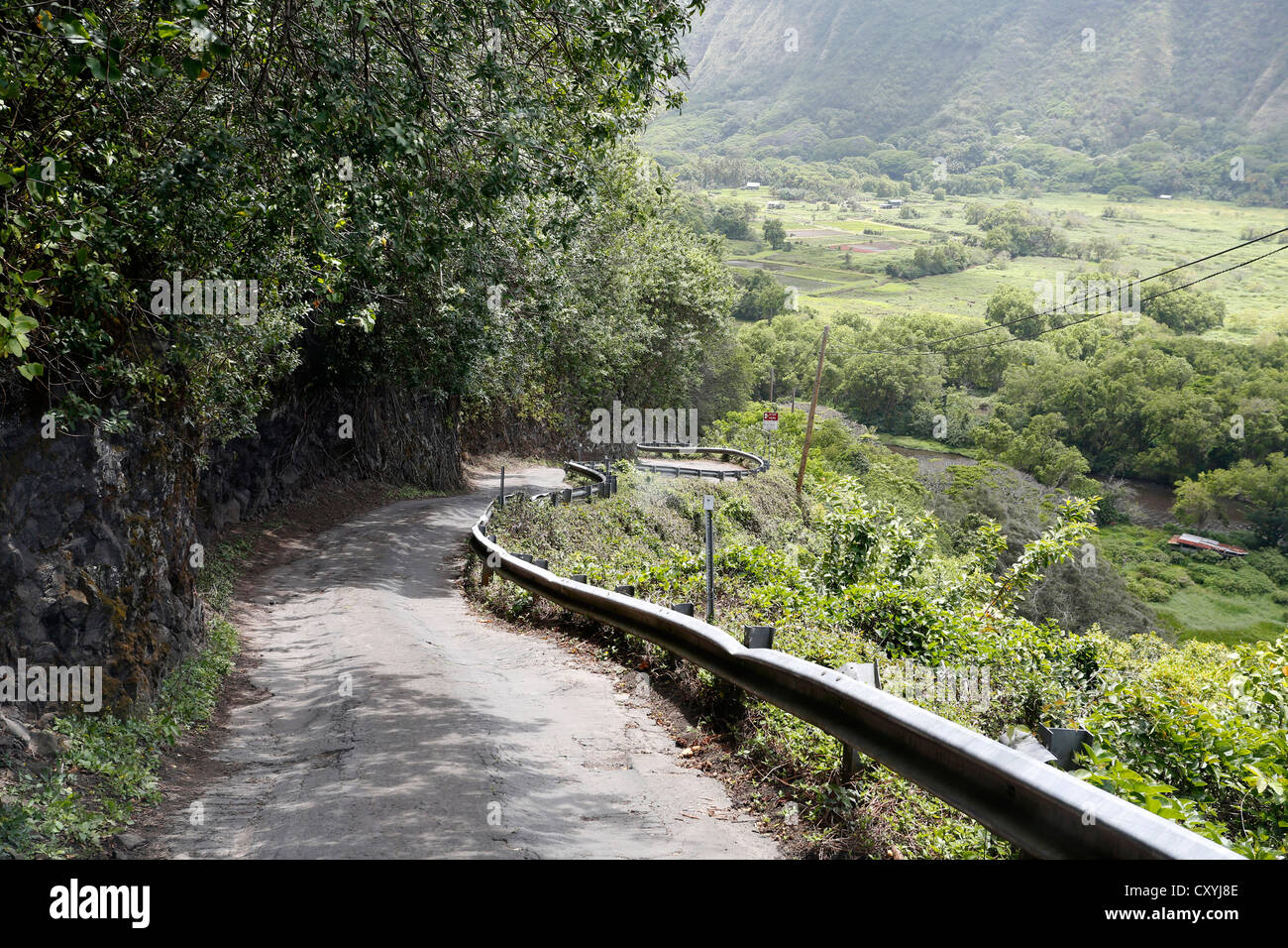 Steep mountain road with a 25% slope, Waipio Valley, Big Island, Hawaii ...