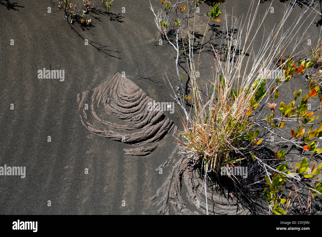 Pahoehoe Lava in the volcanic sand, Kau Desert Trail, Volcanoes ...
