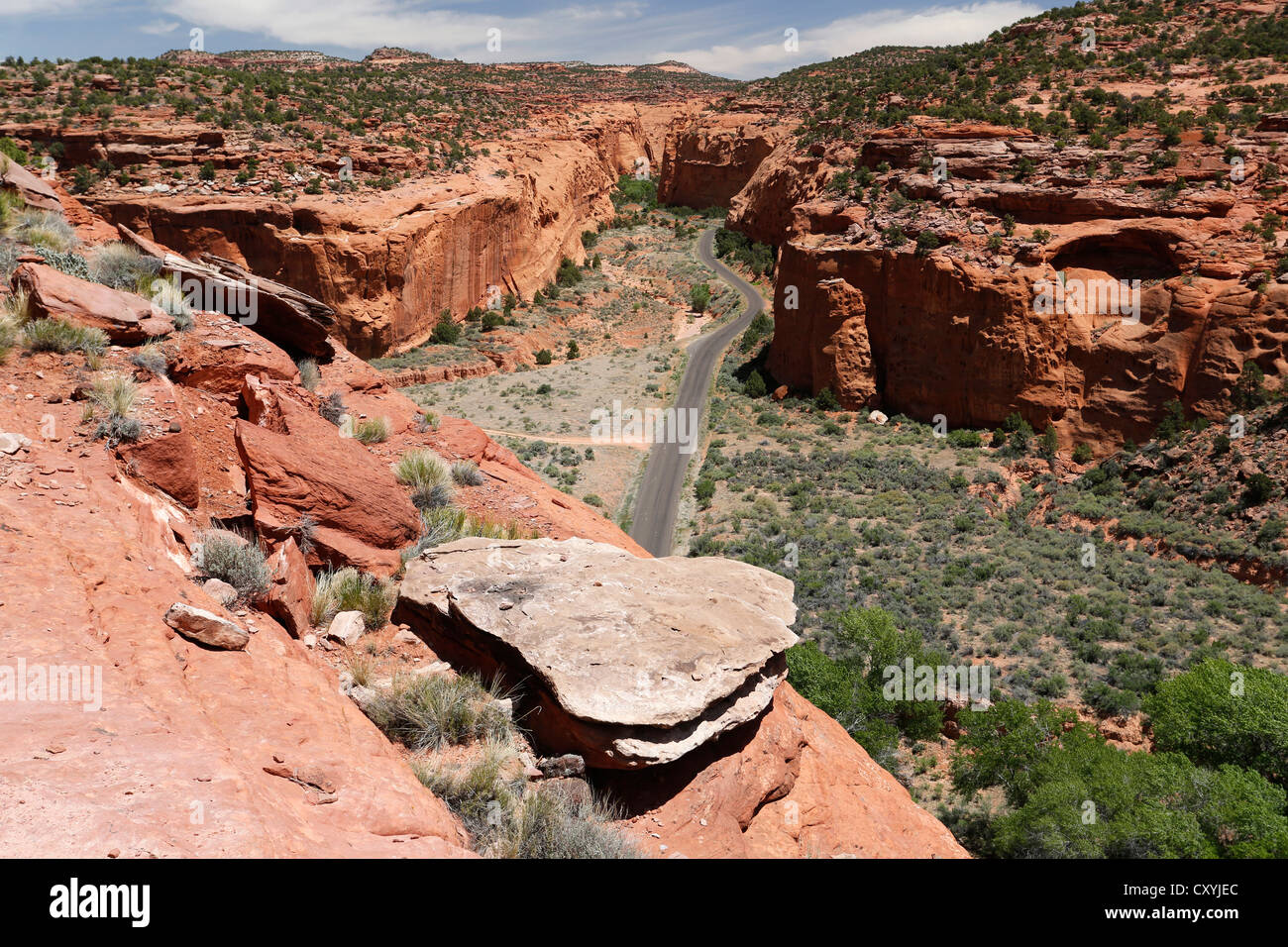 Red Canyon in Long Canyon, Wingate Sandstone of Glen Canyon Group, Burr ...