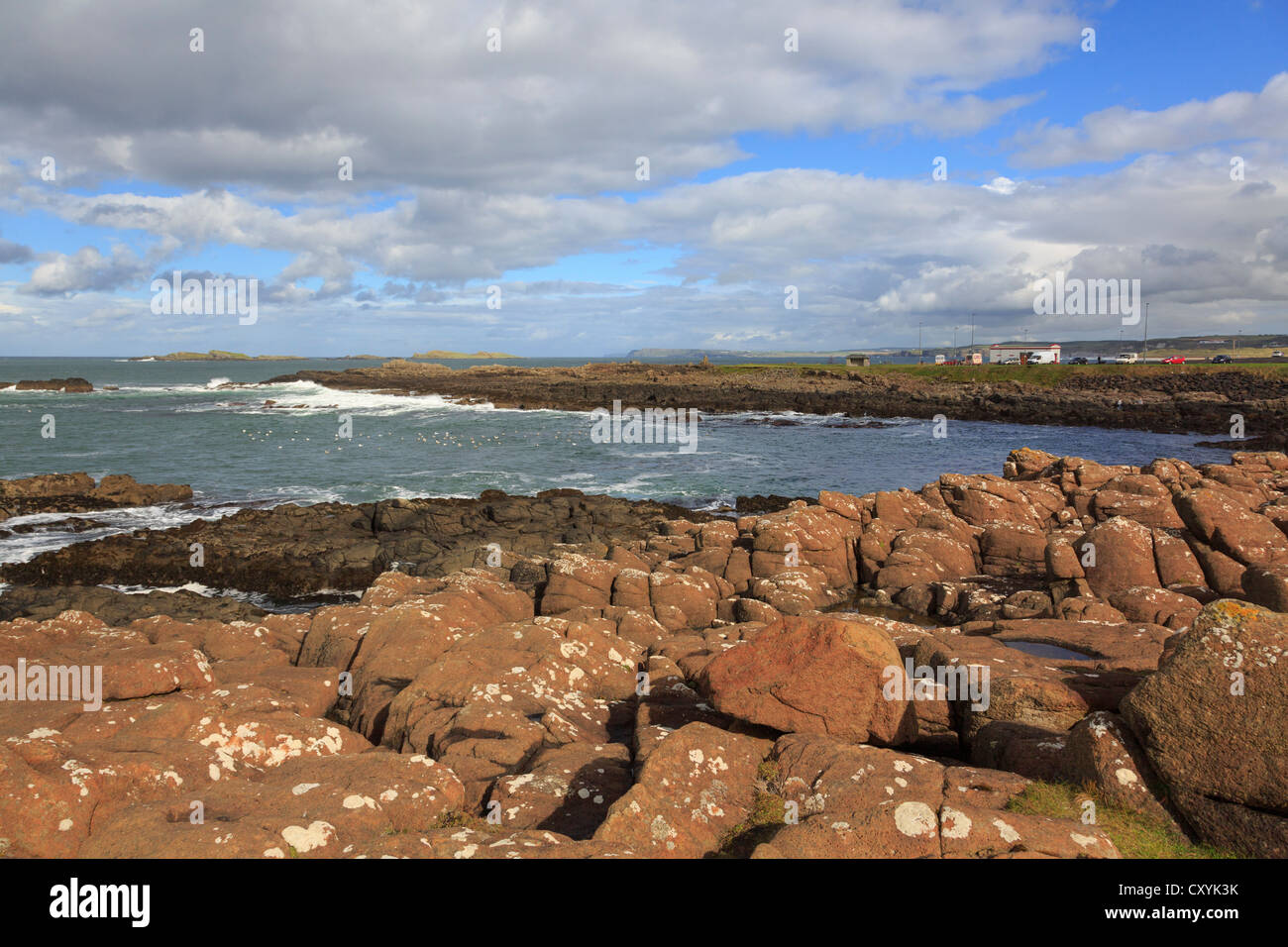 Causeway Coast rocky coastline around Ramore Head at Portrush, County ...