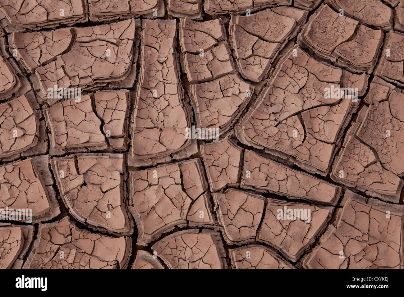 Cracked dry soil of a riverbed, Argentinian Andes, Uspallata, Mendoza ...