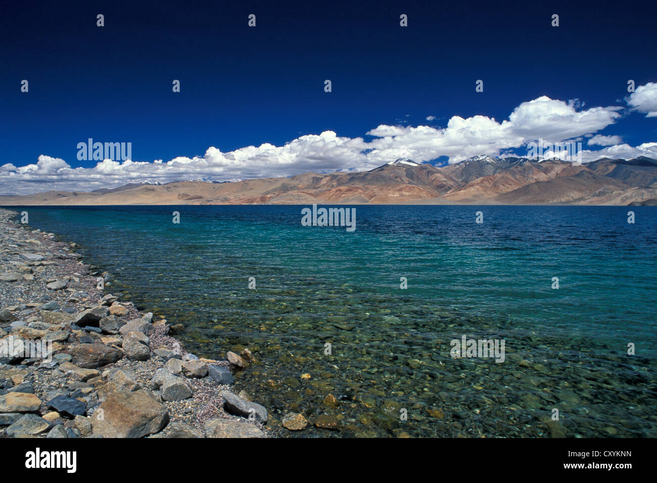 Bank of the high-altitude lake Tso Moriri, Tsomoriri or Lake Moriri ...