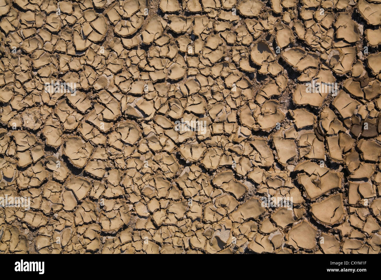 Dried mud during drought hi-res stock photography and images - Alamy