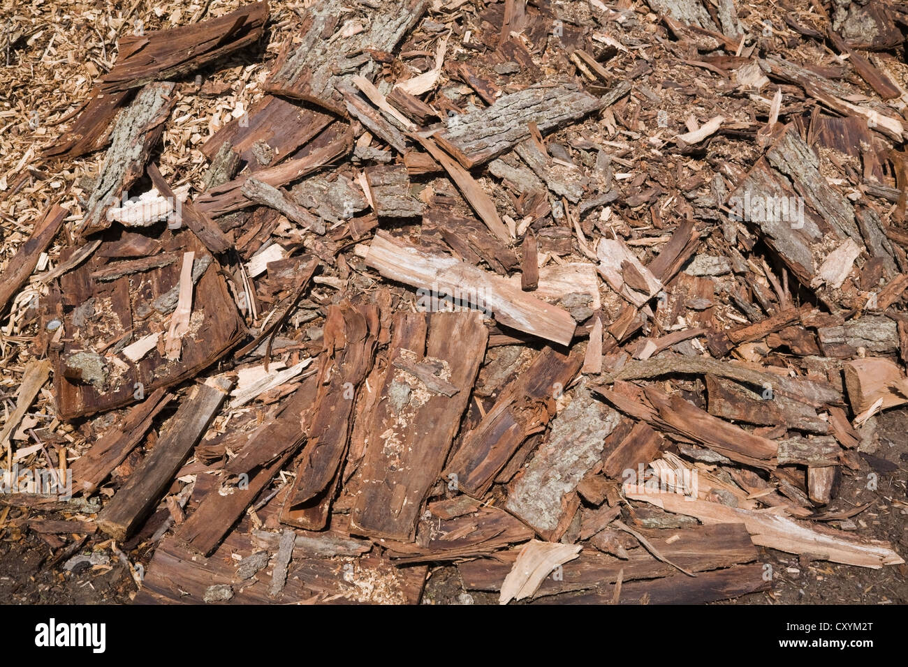Pile of cut cedar tree bark for recycling, Quebec, Canada Stock Photo ...