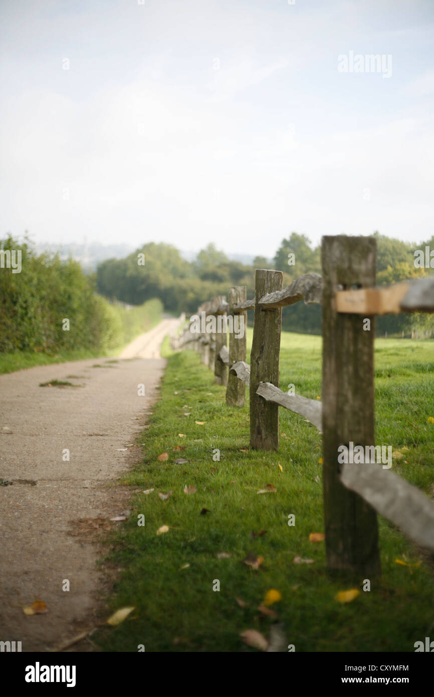 Path pathway barrier fence hi-res stock photography and images - Alamy