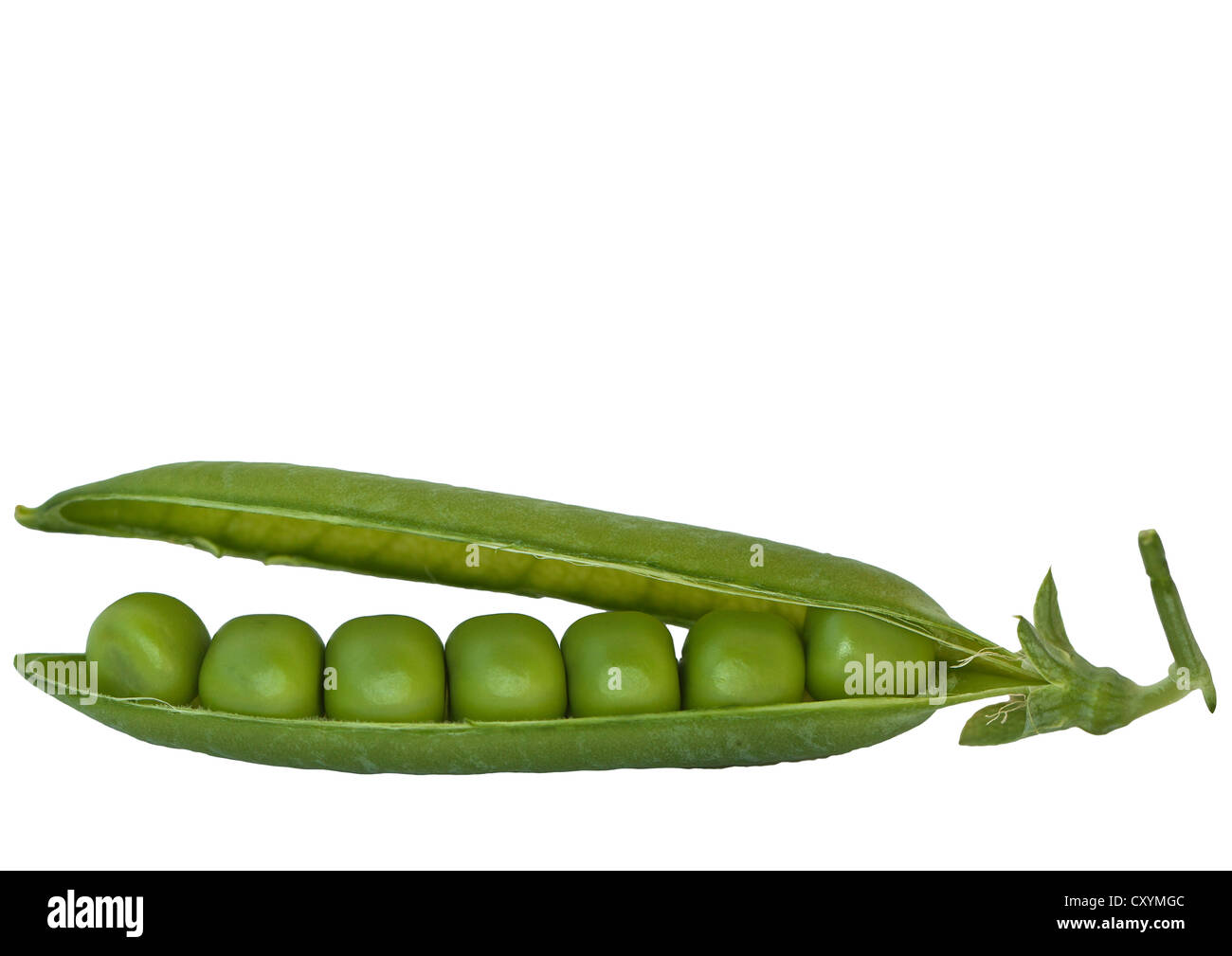 Single Green Pea