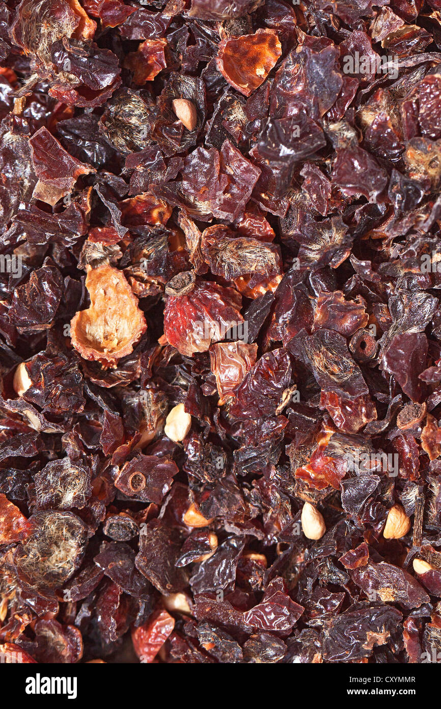 Rosa canina tea hi-res stock photography and images - Alamy