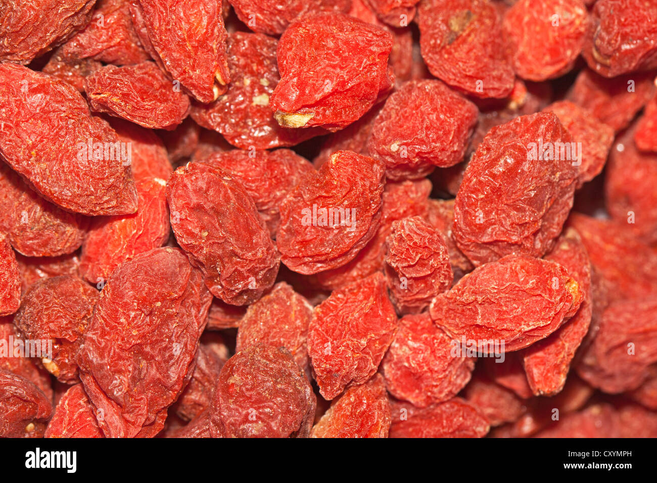 Wolfberries or Goji Berries (Lycium barbarum), part of Chinese cuisine ...