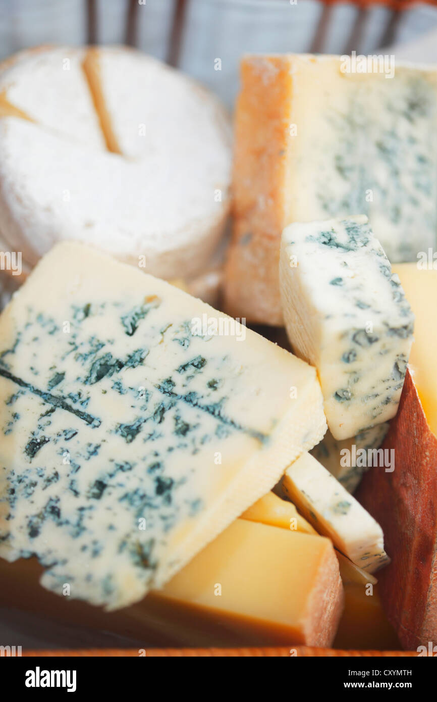 Various types of cheese composition Stock Photo - Alamy