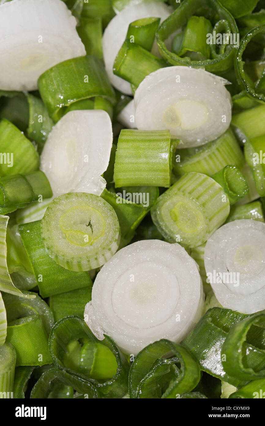 Close up view sliced onions hi-res stock photography and images - Alamy