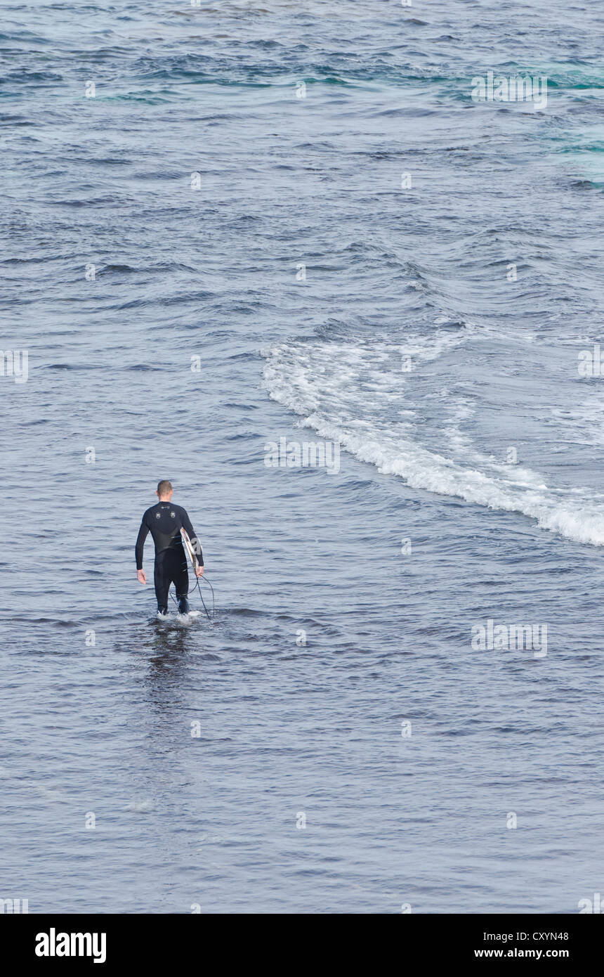 A lone surfer walks out along the reef through the surf at Surfers ...