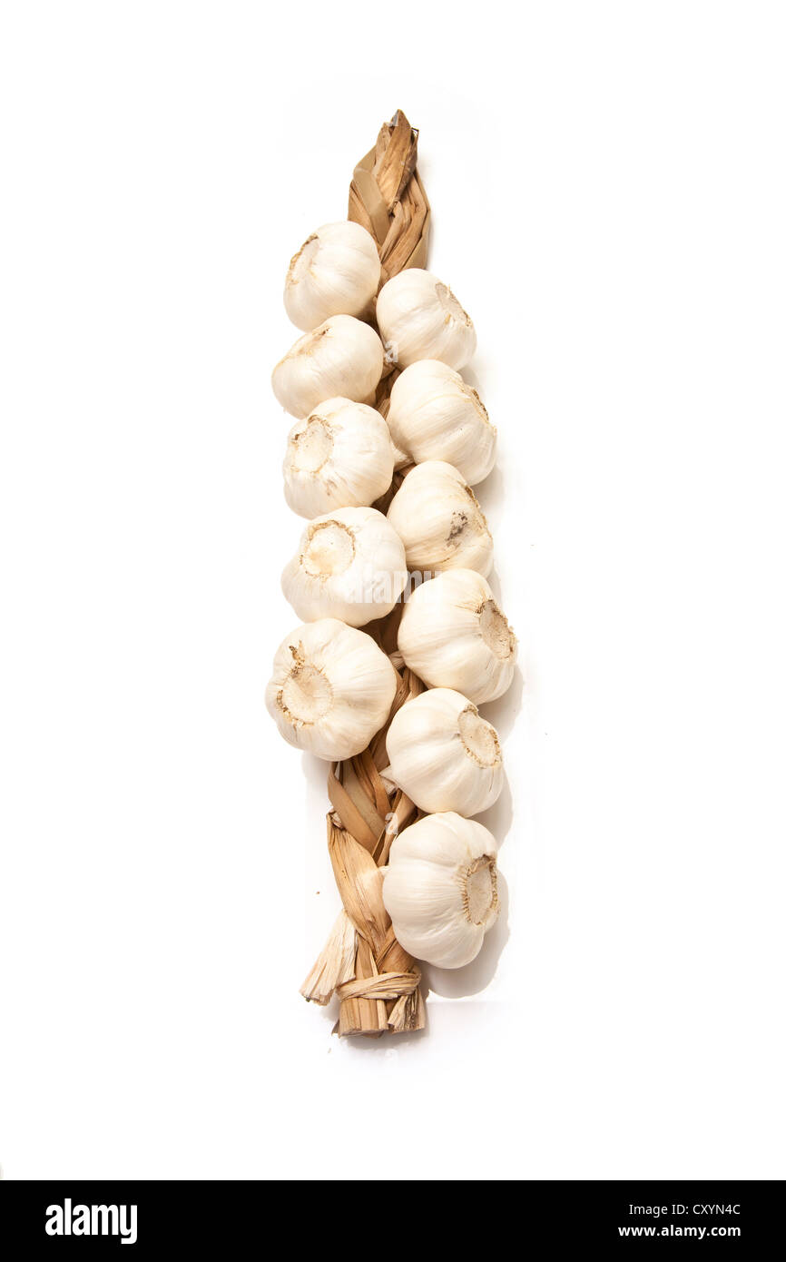 String of garlic bulbs isolated on a white studio background Stock ...