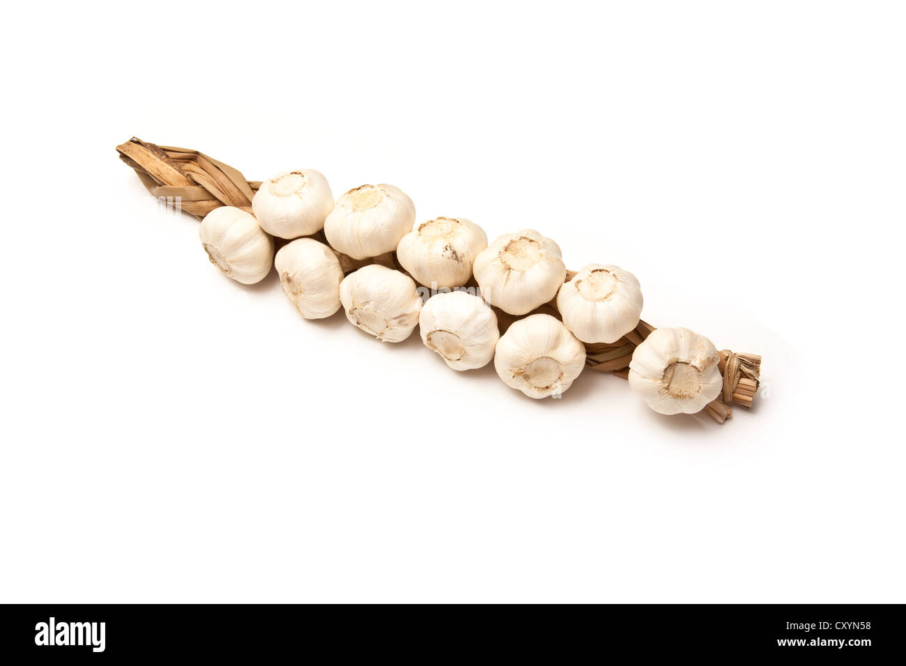 String of garlic bulbs isolated on a white studio background Stock ...