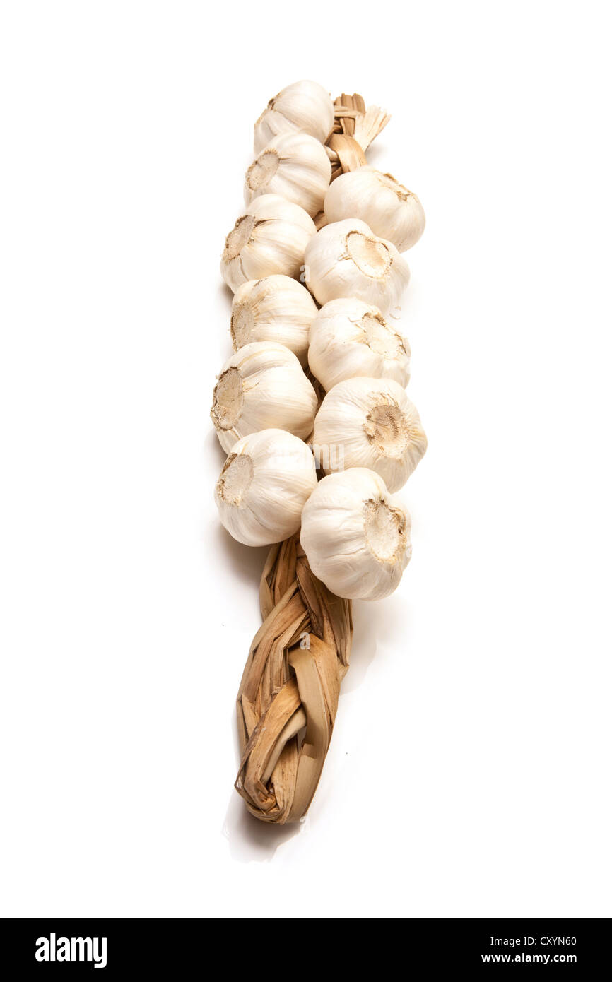 String of garlic bulbs isolated on a white studio background Stock ...