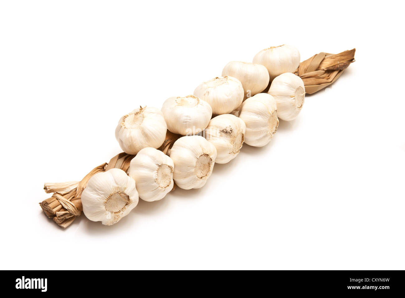 String of garlic bulbs isolated on a white studio background Stock ...