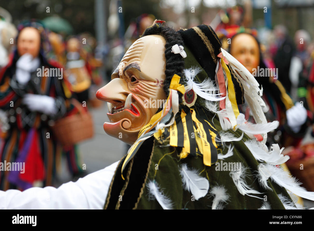 German jester hi-res stock photography and images - Alamy