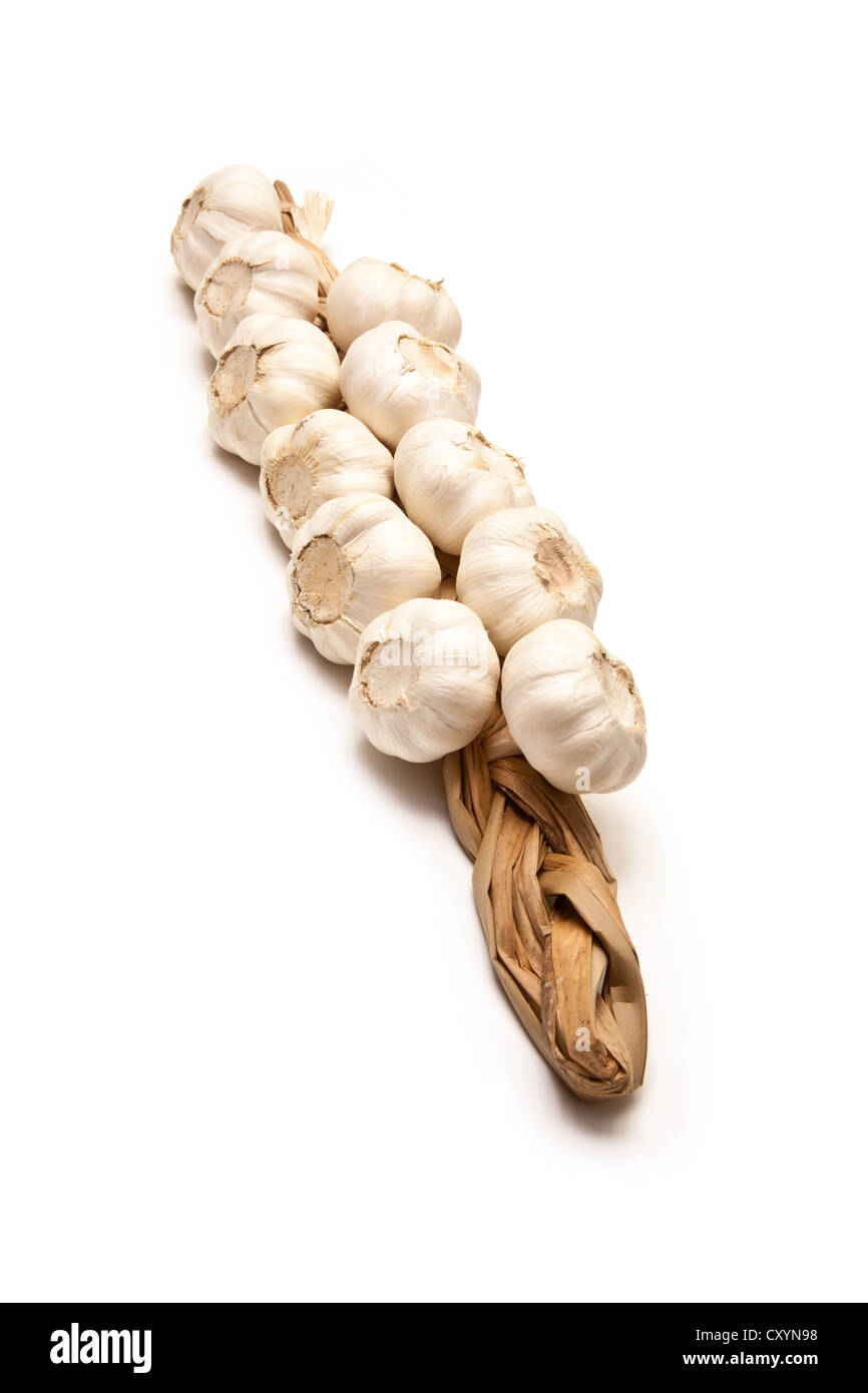 String of garlic bulbs isolated on a white studio background Stock ...